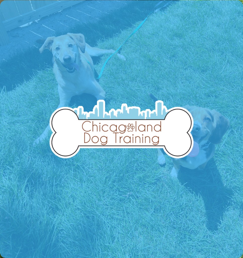 Chicagoland Dog Training | McHenry, IL Dog Trainers